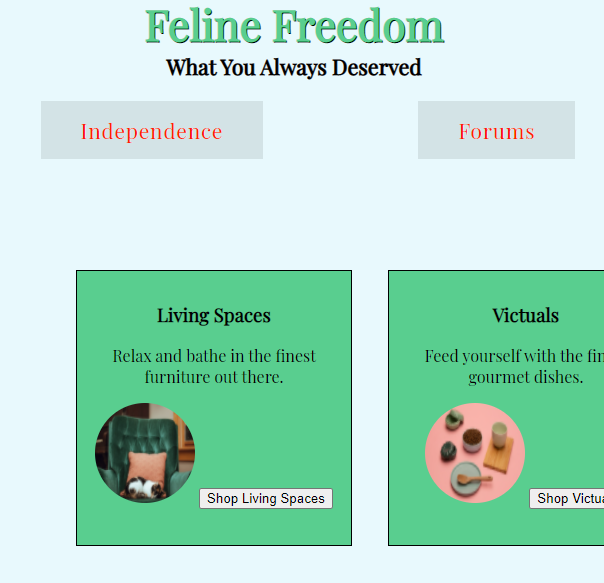 Danny Knauff Portfolio